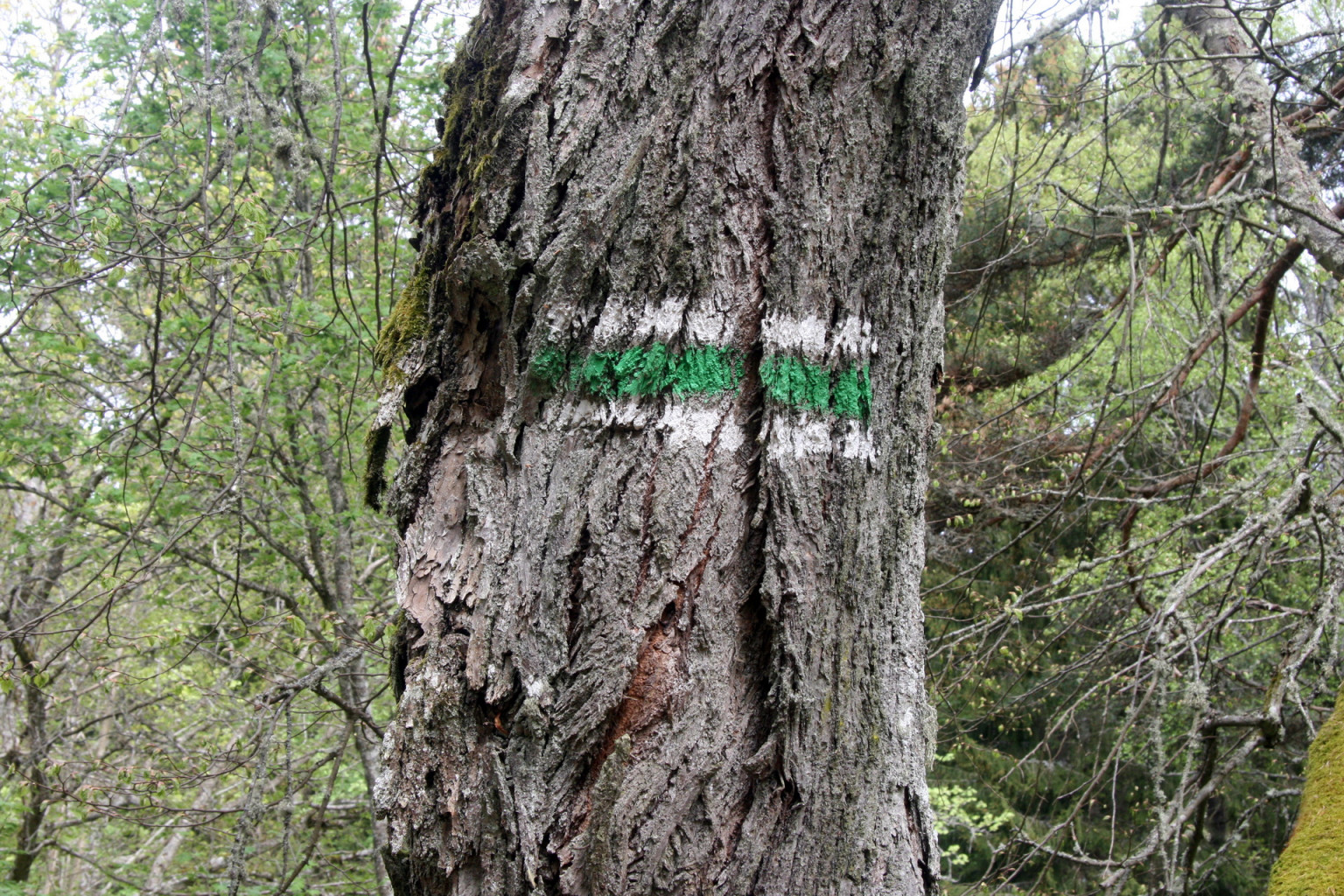 Naissaar Island Day Trip from Tallinn